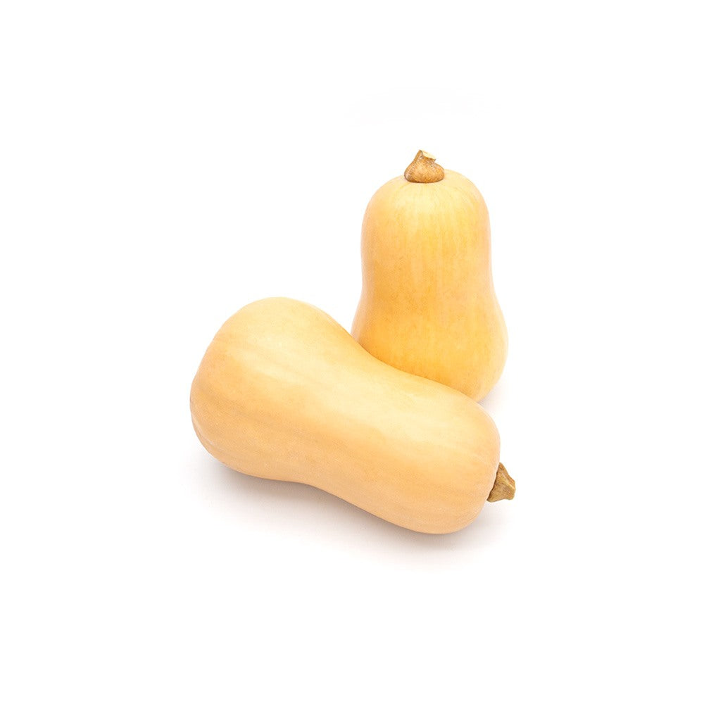 Pumpkin Butternut - Big – iFood