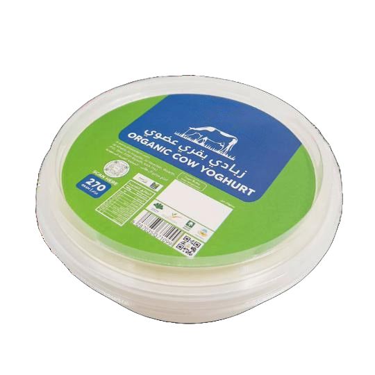 Organic yoghurt -Zabadi – iFood